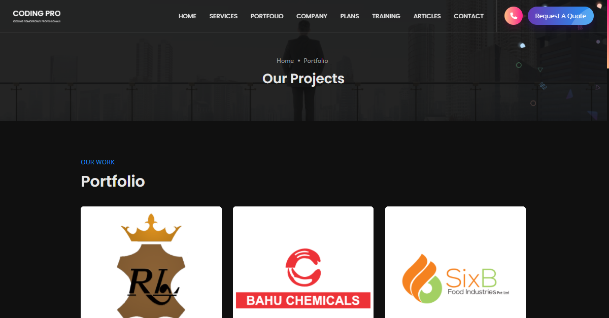 All Portfolio | Coding Pro Private Limited